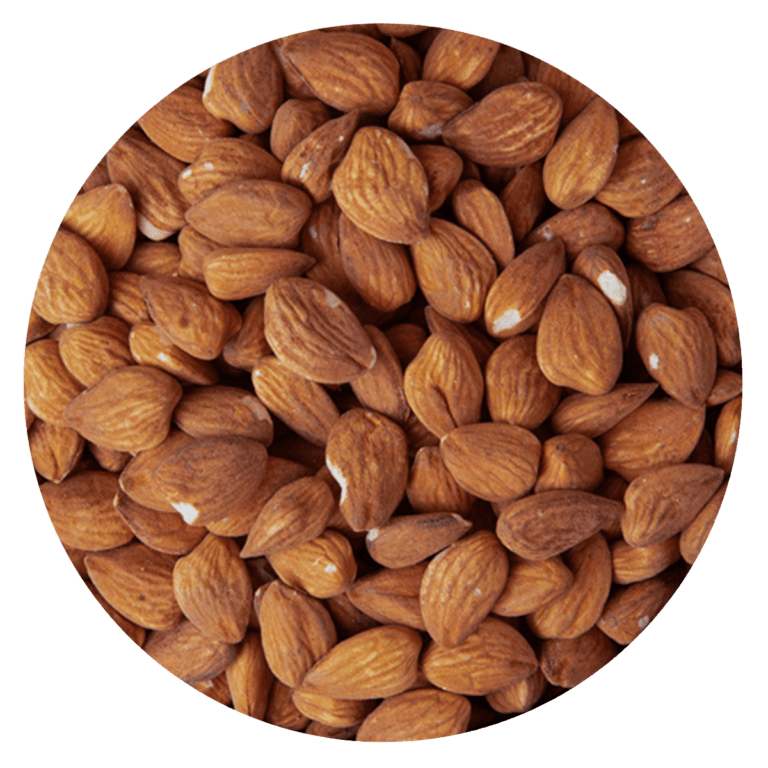 FRUTOS SECOS – El Sembrador