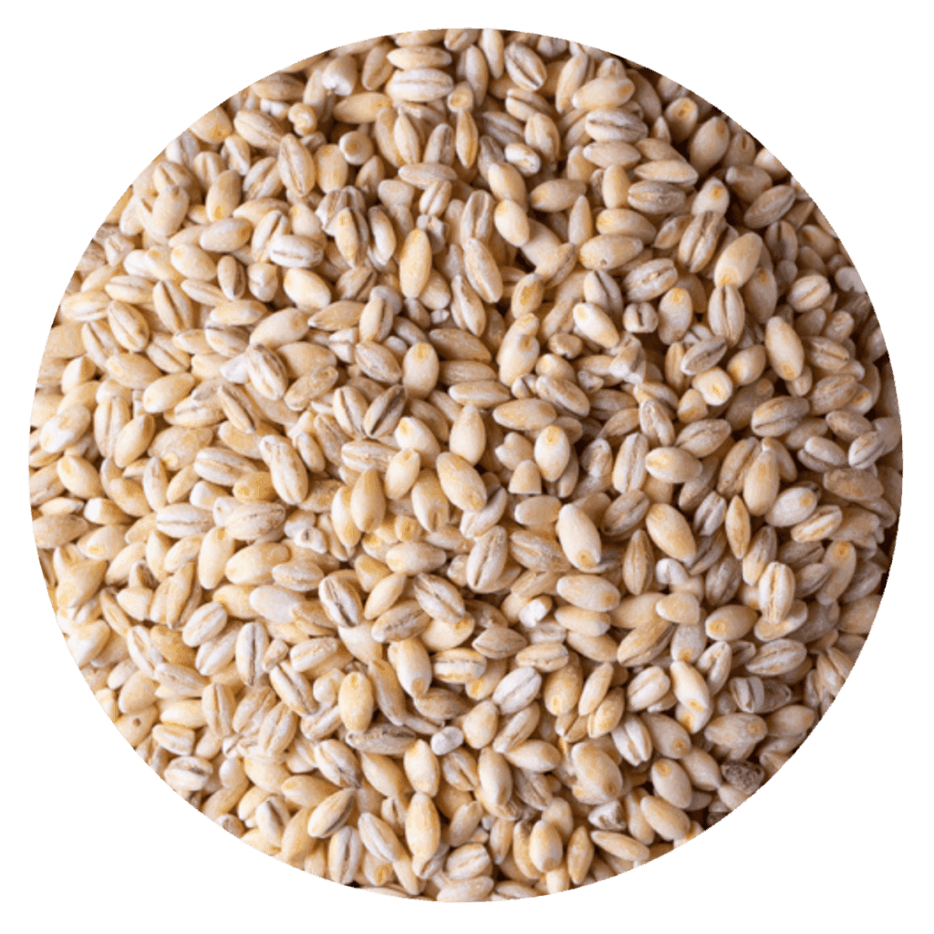 CEBADA PERLADA – El Sembrador